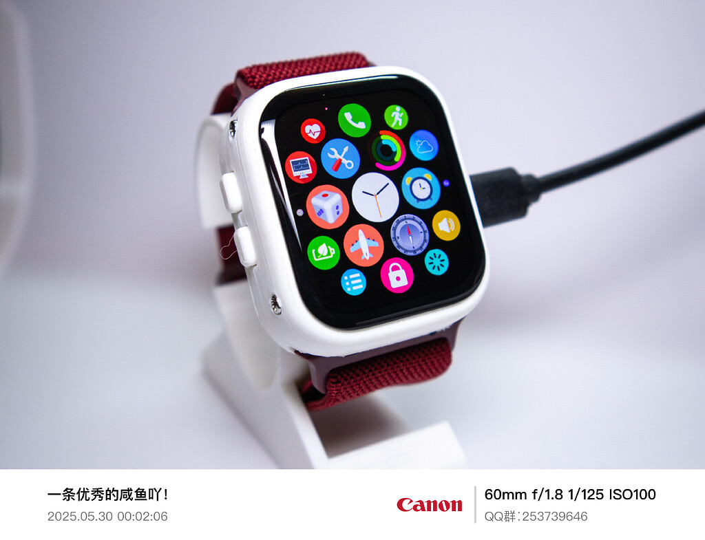 黄山派组装实物图（适配watch表带） - 经验分享 - SiFli BBS